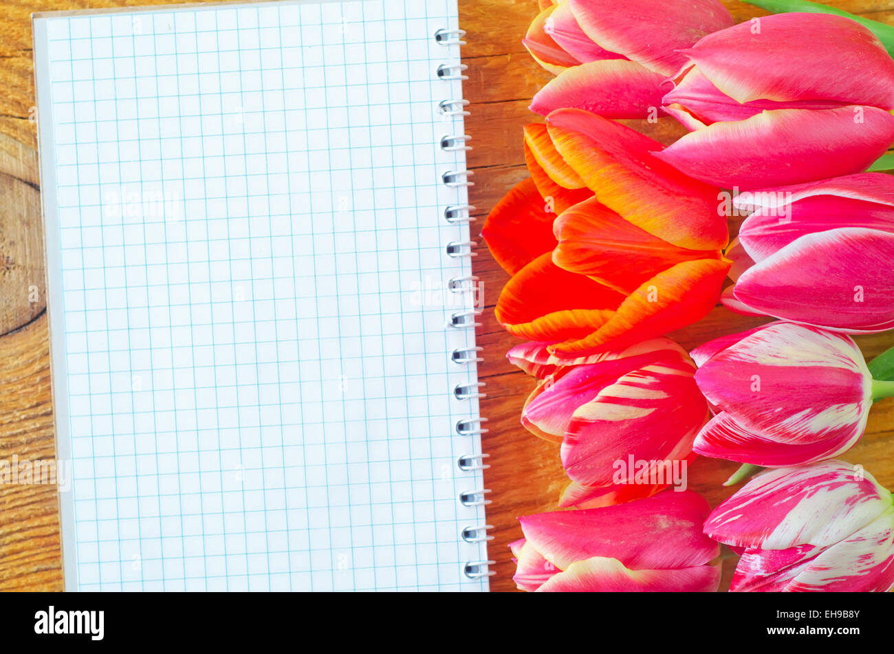 tulips and note Stock Photo - Alamy