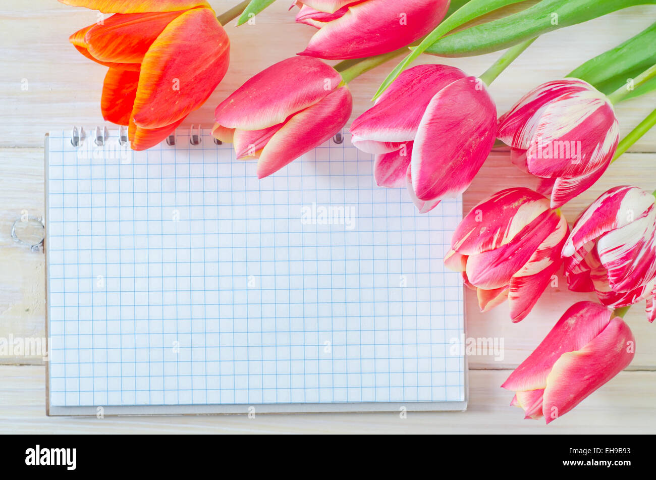 tulips and note Stock Photo - Alamy