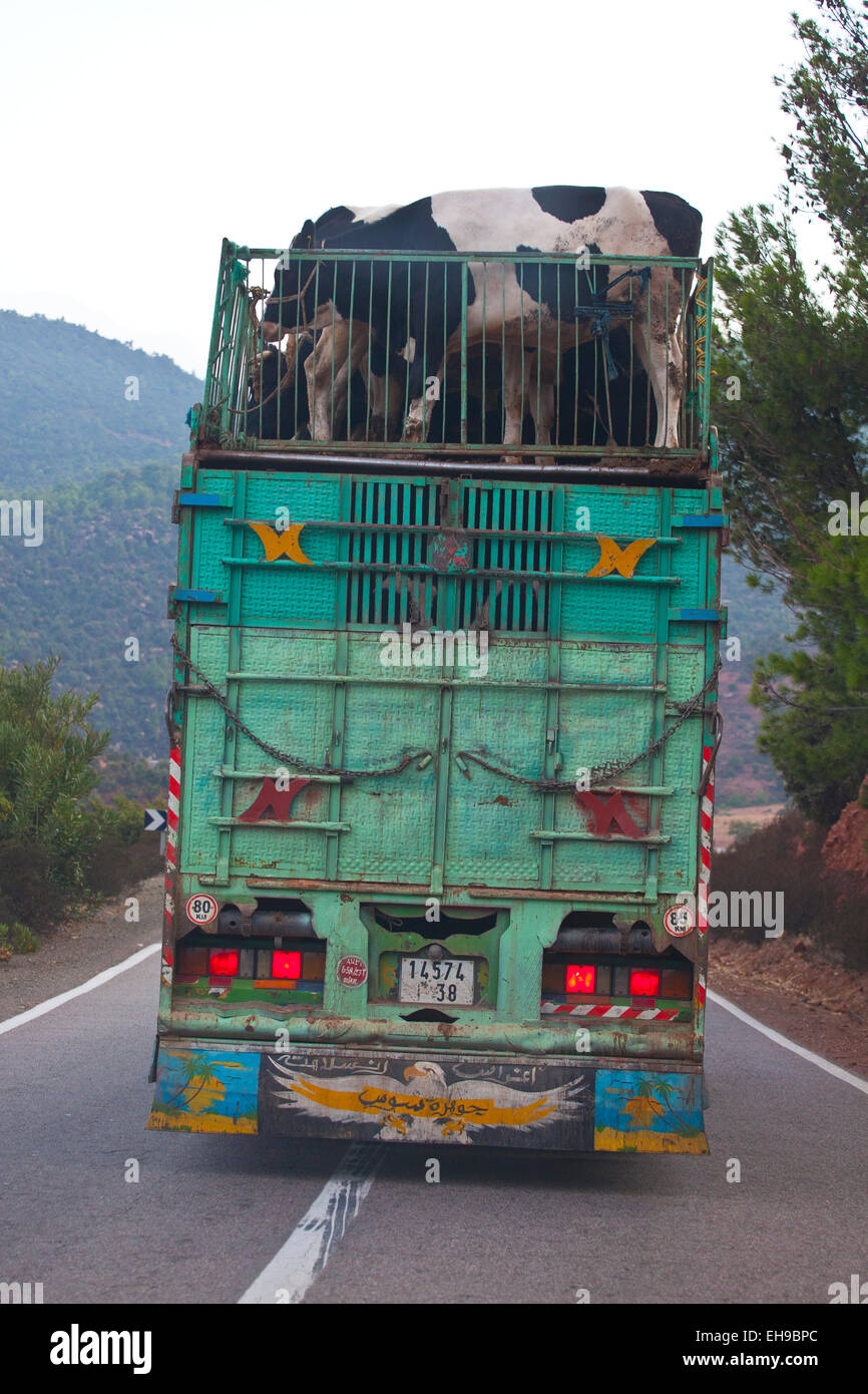 Cattle car hi-res stock photography and images - Alamy