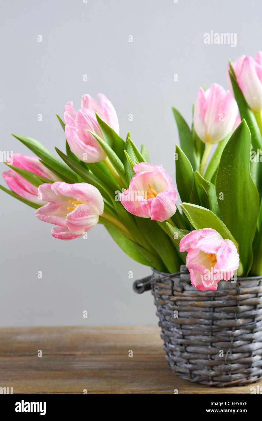 spring flowers in a wicker bucket, bunch of tulips Stock Photo - Alamy