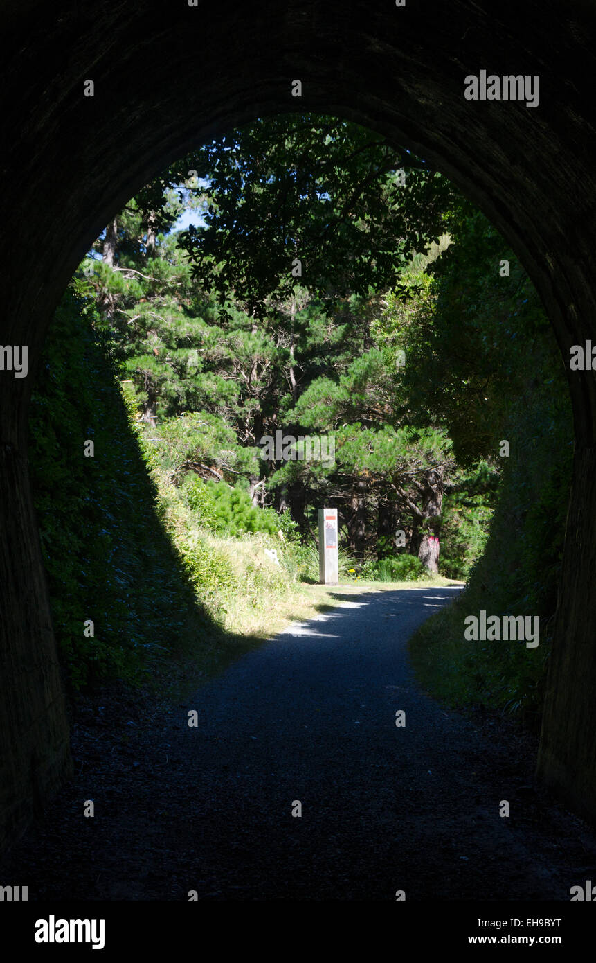 Rimutaka Rail Trail High Resolution Stock Photography and Images - Alamy