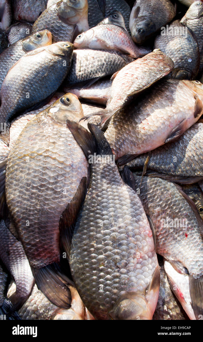 Ready for shoppers hi-res stock photography and images - Alamy