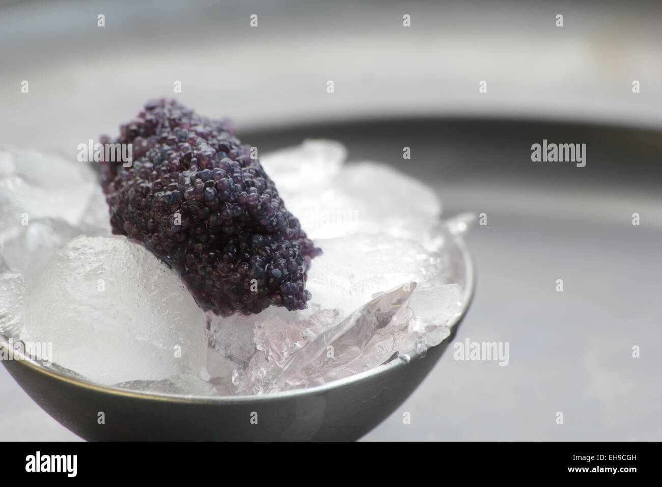 Closeup of black caviar on ice cubes Stock Photo - Alamy