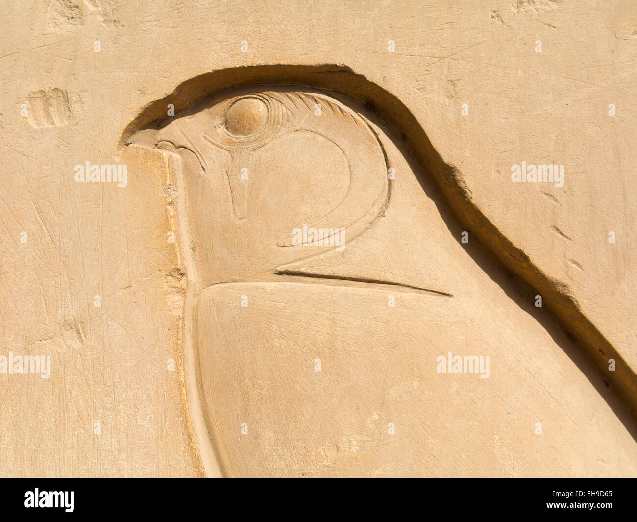 Hieroglyph bird hi-res stock photography and images - Alamy