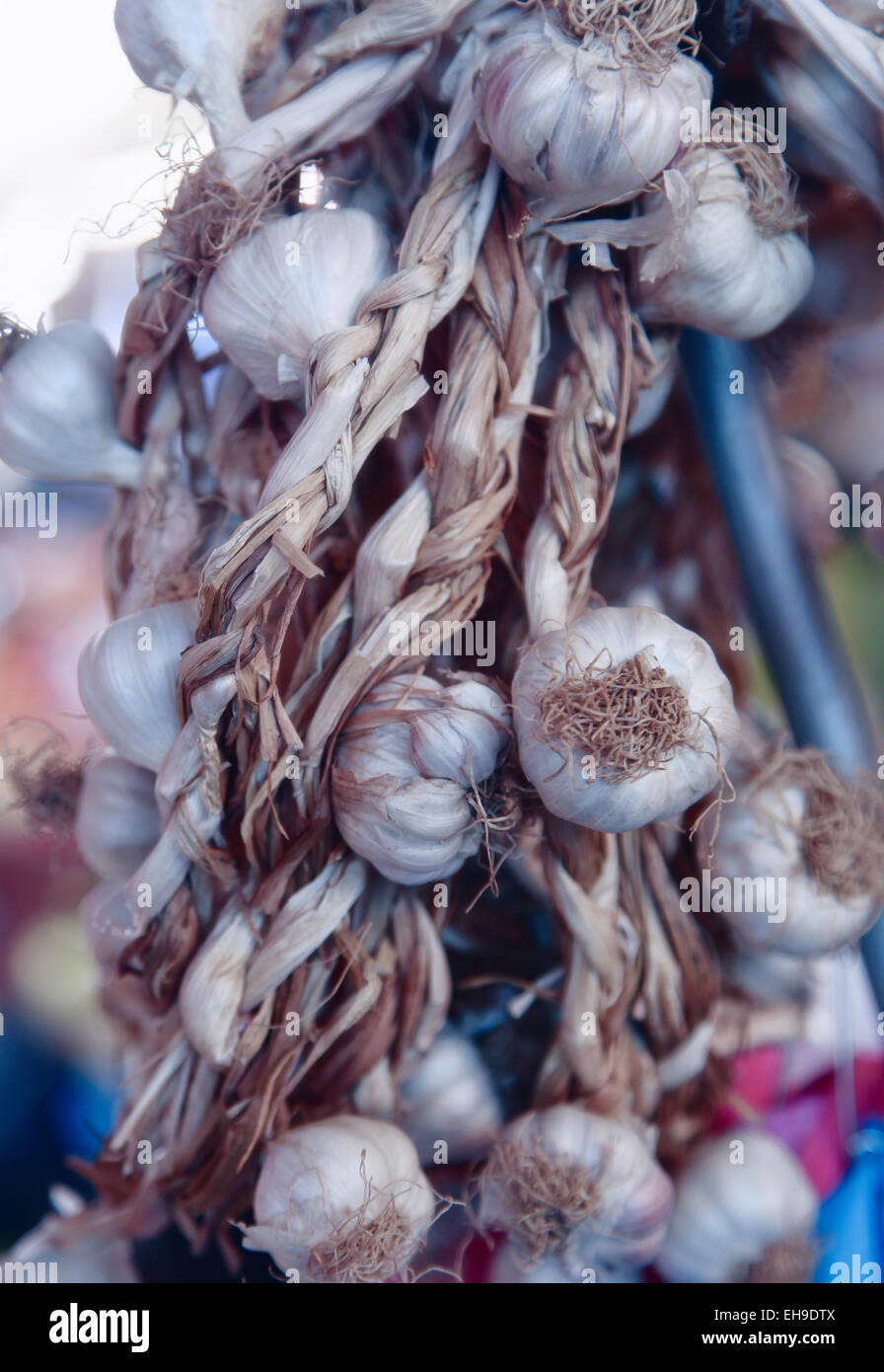 Garlic string. A string of garlic bulbs hanging Stock Photo - Alamy