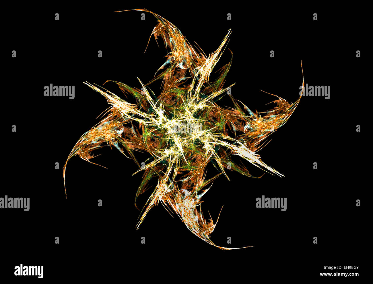 Distinctive flower shapes hi-res stock photography and images - Alamy