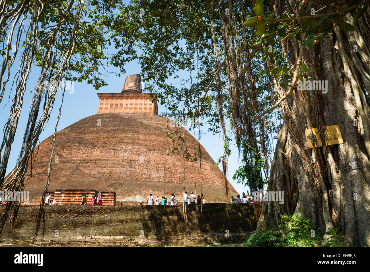 Ancient Jetavanarama Dagoba, a huge red brick stupa in Anuradhapura ...