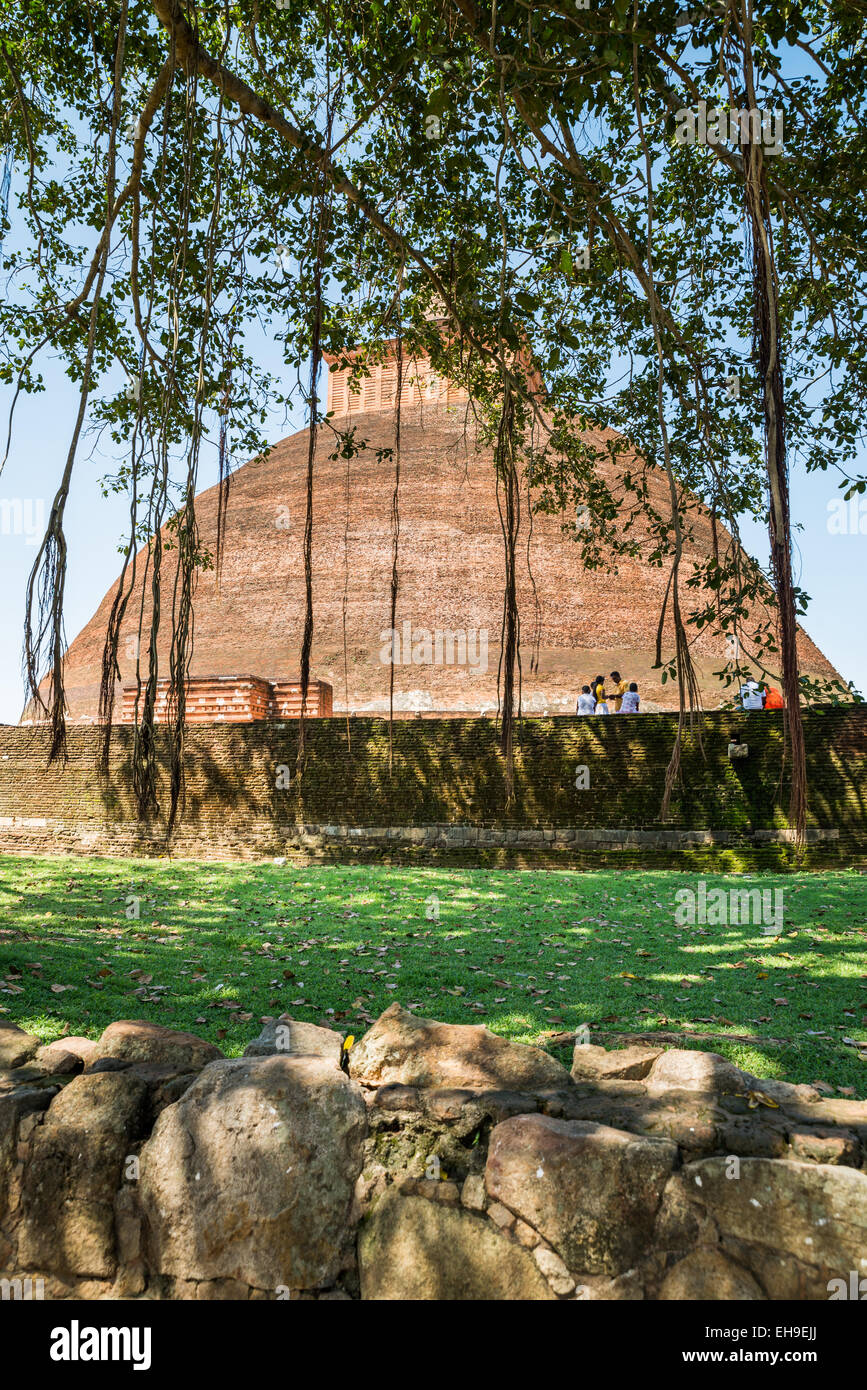Ancient Jetavanarama Dagoba, a huge red brick stupa in Anuradhapura ...