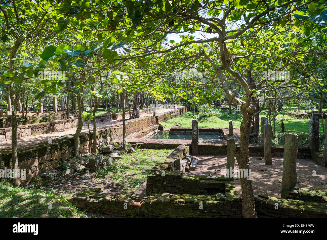 Remains of monastic refectory, Northern Ruins, Anuradhapura, UNESCO ...