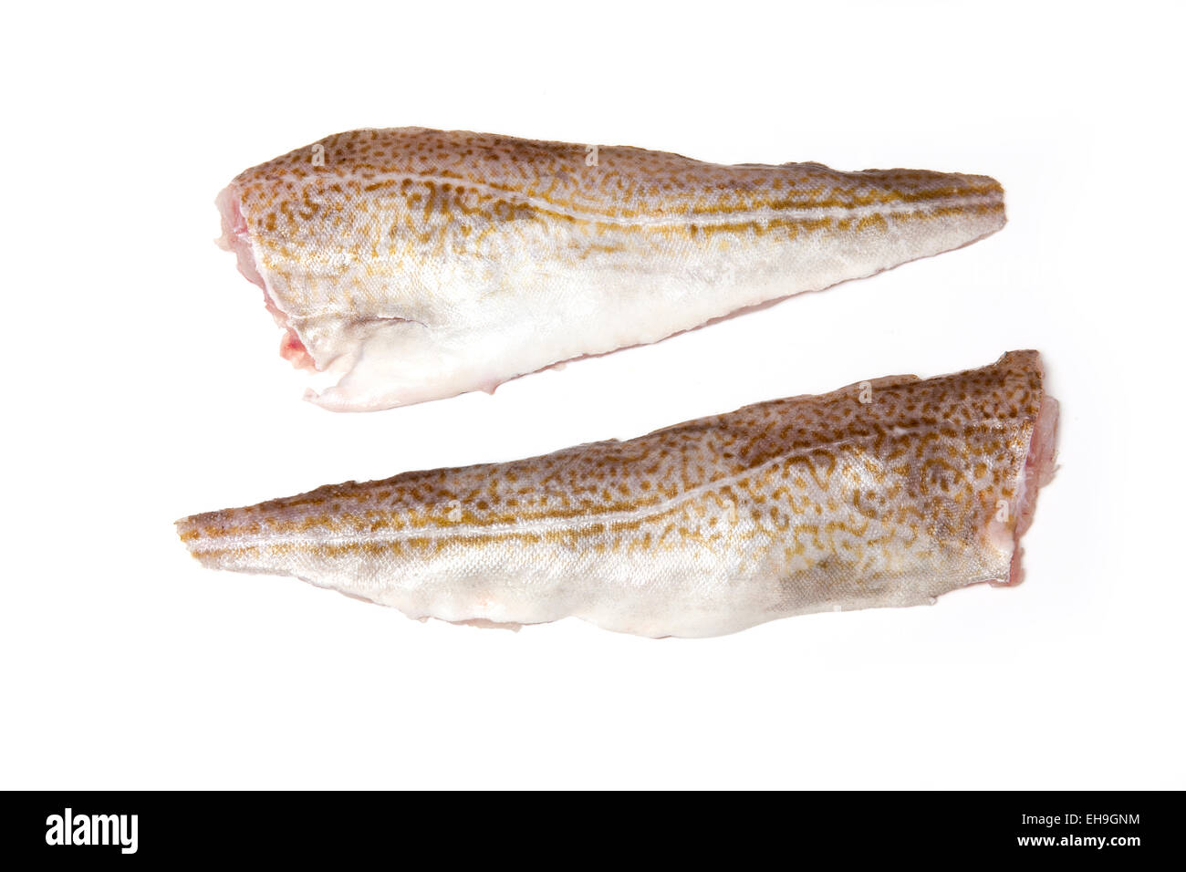 Fillets of Cod Fish isolated on a white studio background Stock Photo ...