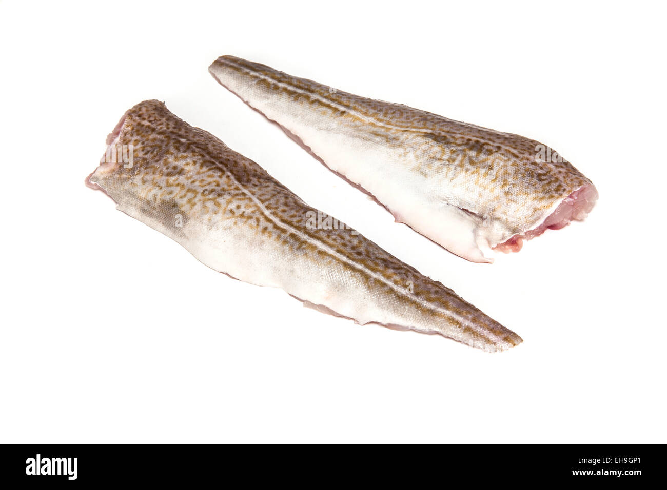 Fillets of Cod Fish isolated on a white studio background Stock Photo ...