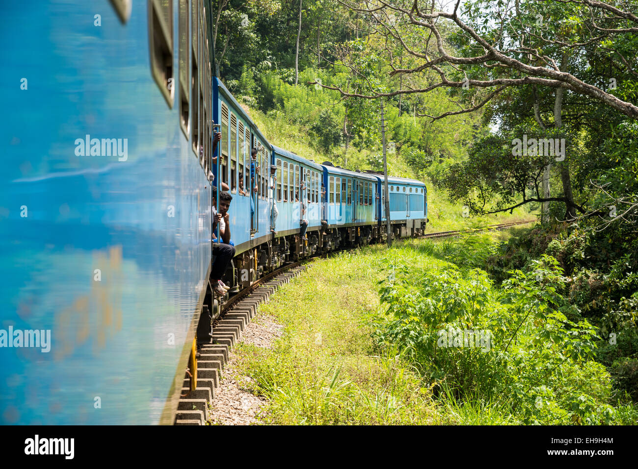 train from Haputale to Ella, Sri lanka, Asia Stock Photo - Alamy