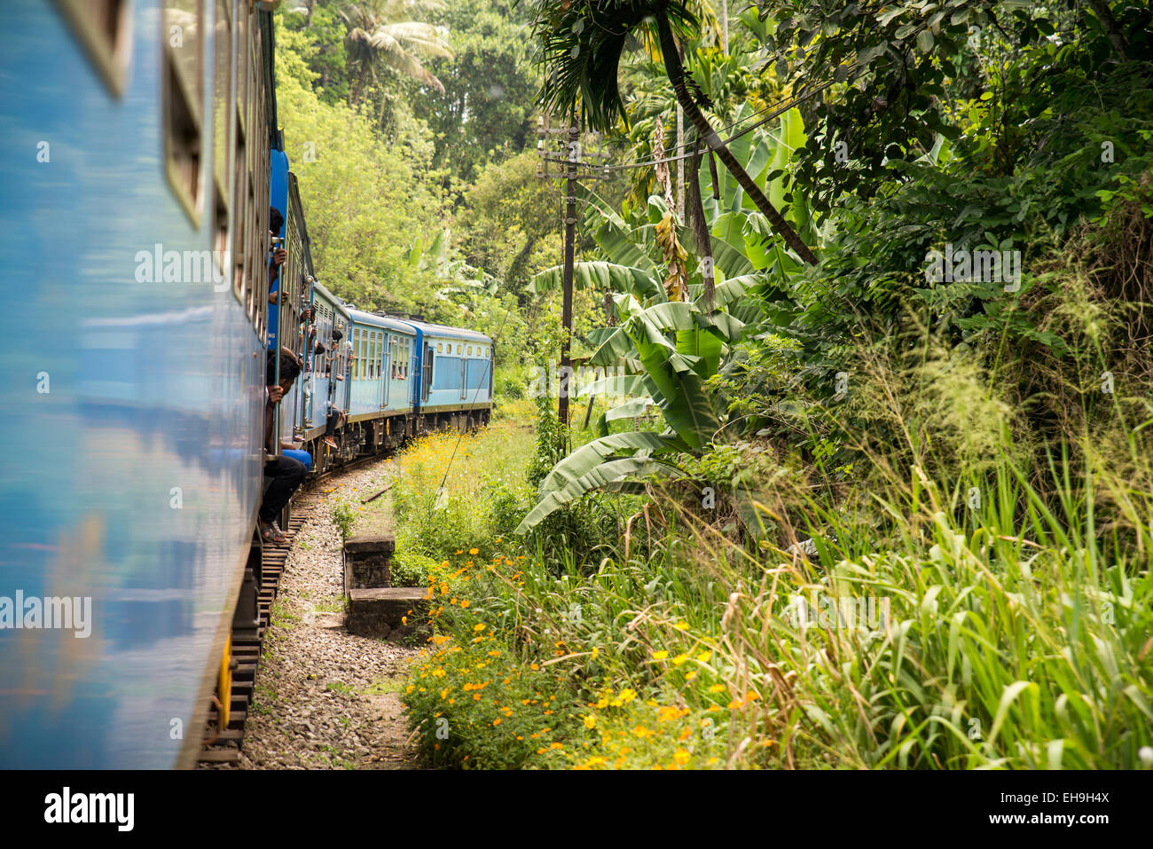 train from Haputale to Ella, Sri lanka, Asia Stock Photo - Alamy