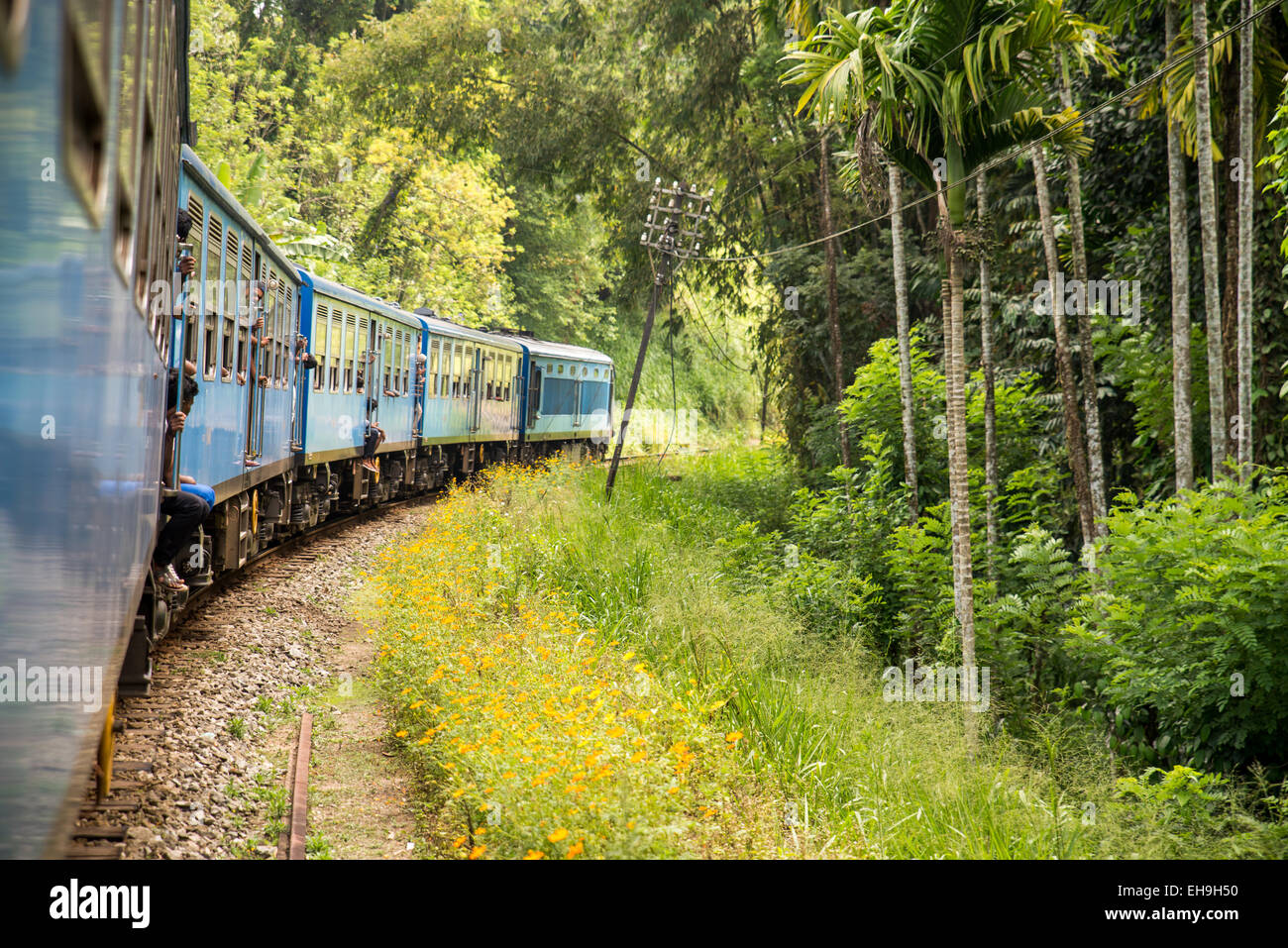 train from Haputale to Ella, Sri lanka, Asia Stock Photo - Alamy