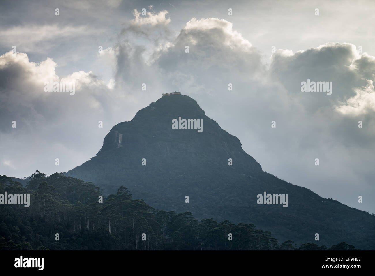 view of holy Adam's Peak (Sri Pada) in the hill country of Sri Lanka ...