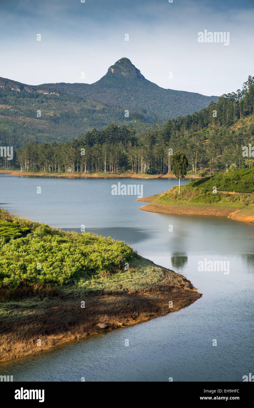 Maskeliya hi-res stock photography and images - Alamy