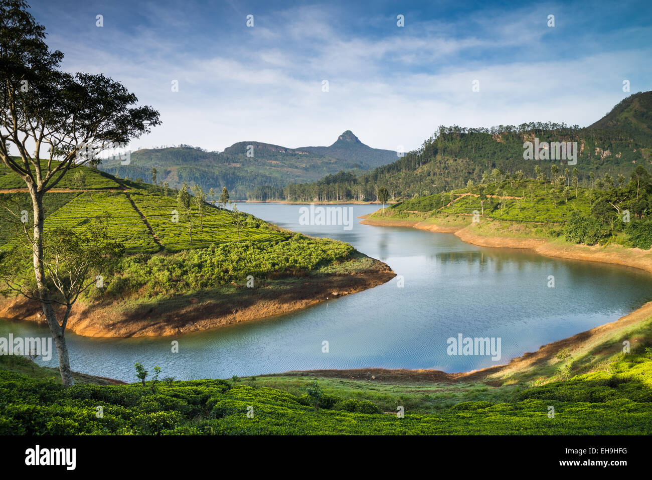 Maskeliya Lake and Adam's Peak, Sri Lanka, Asia Stock Photo - Alamy