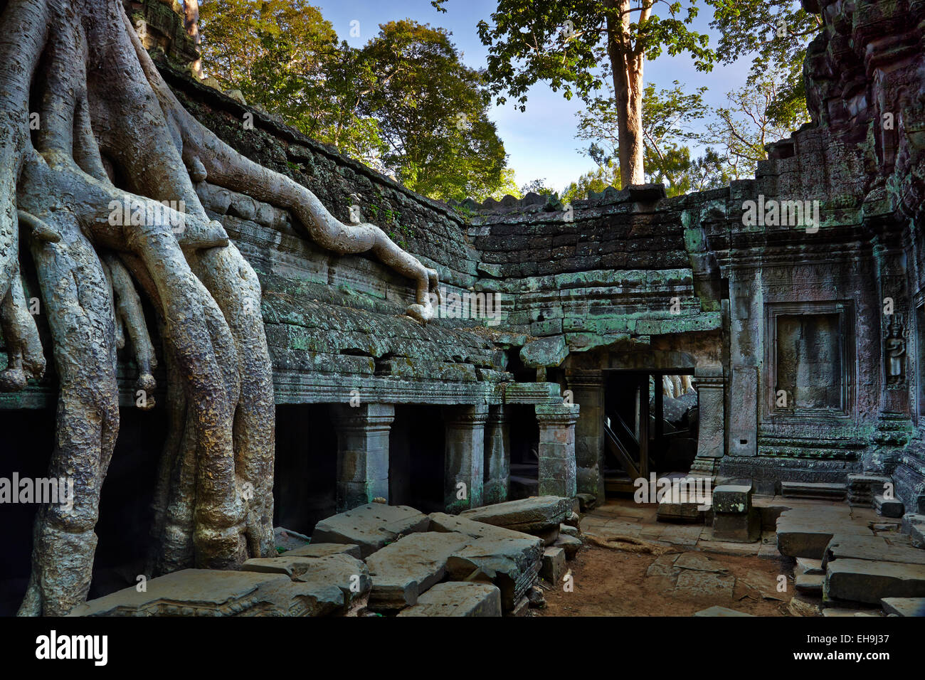 Ta Prohm temple at Angkor Cambodia Stock Photo - Alamy