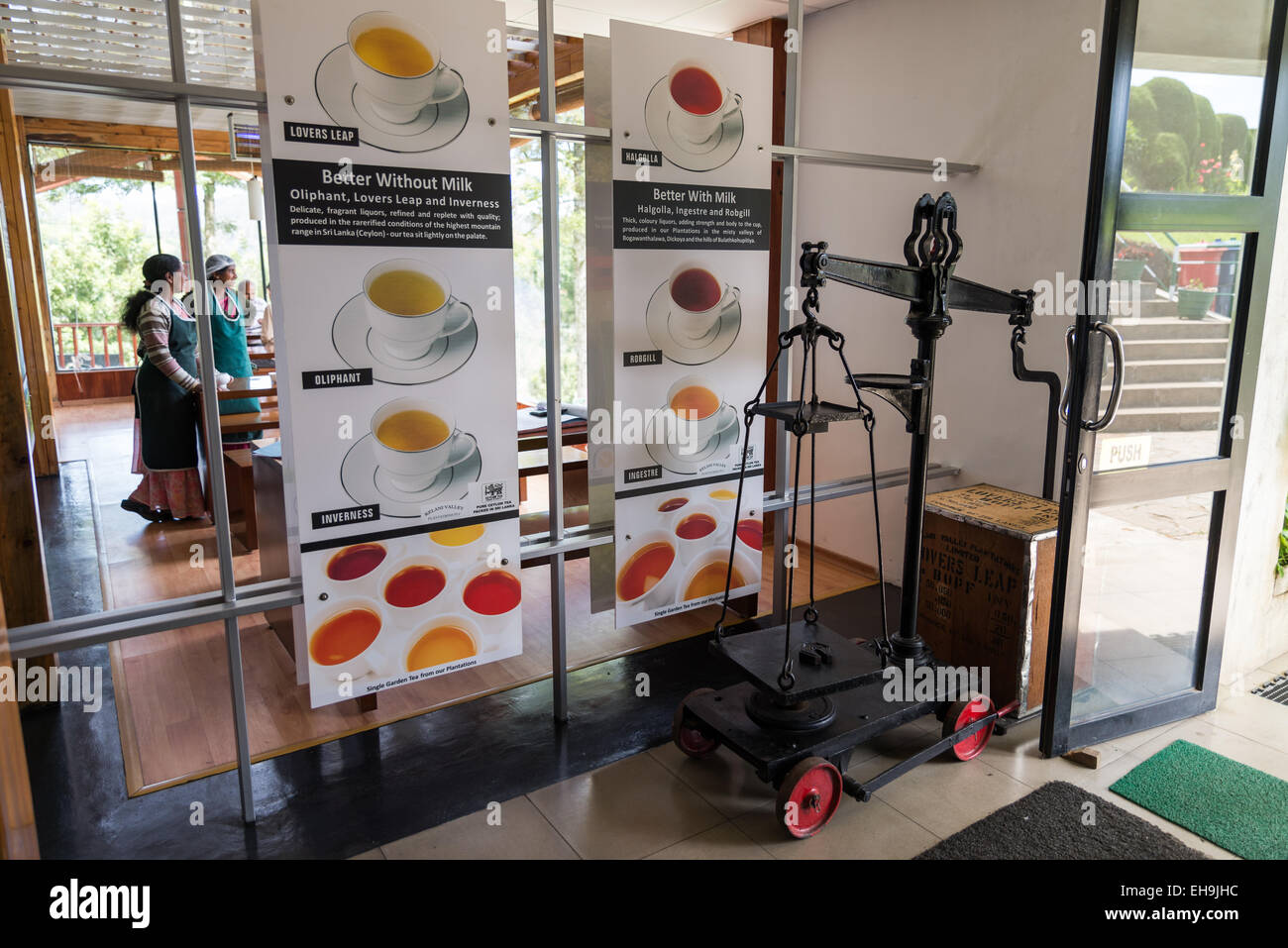 Nuwara Eliya Pedro Tea Estate tea factory & plantation in the hill ...