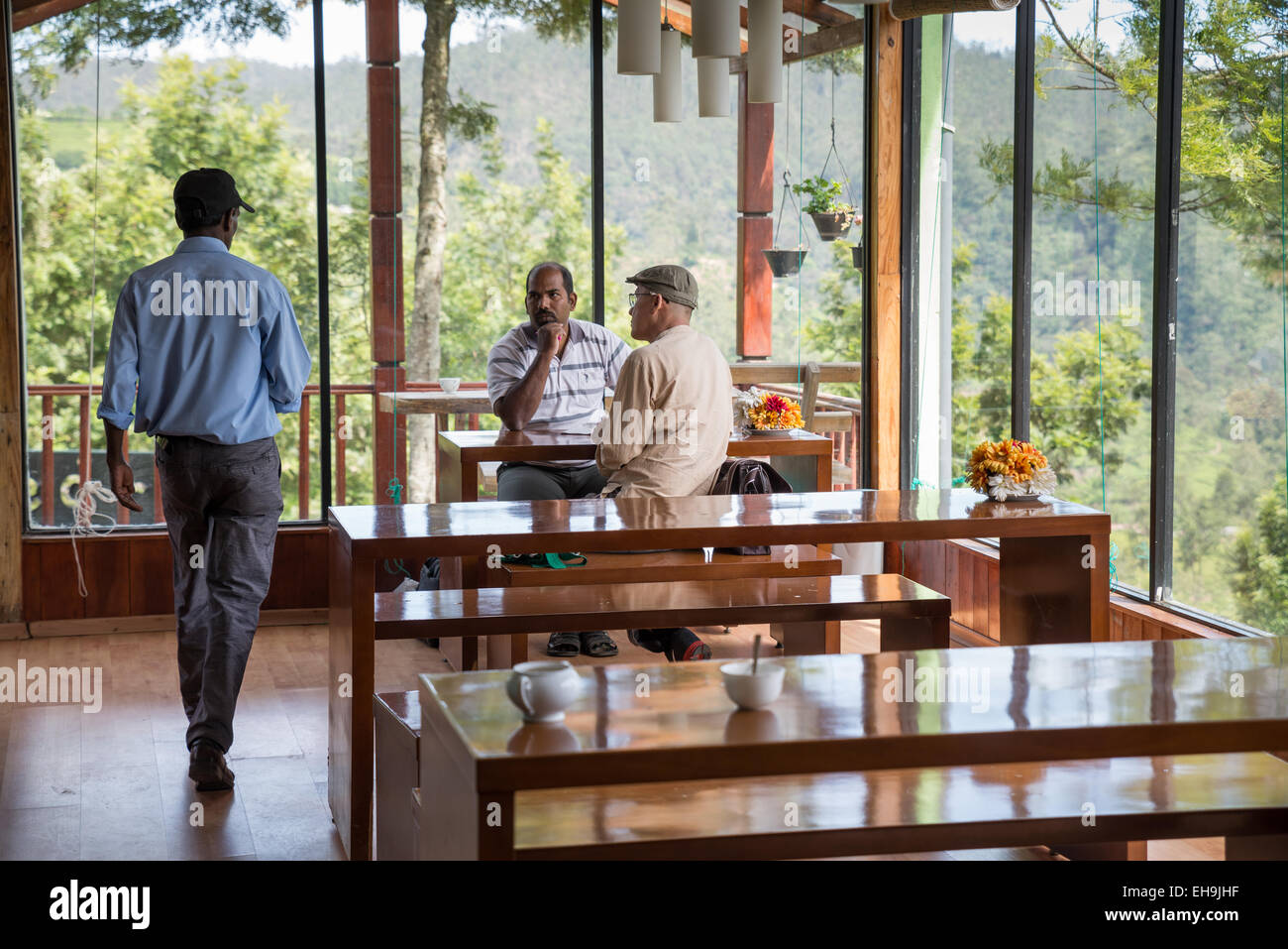 Nuwara Eliya Pedro Tea Estate tea factory & plantation in the hill ...