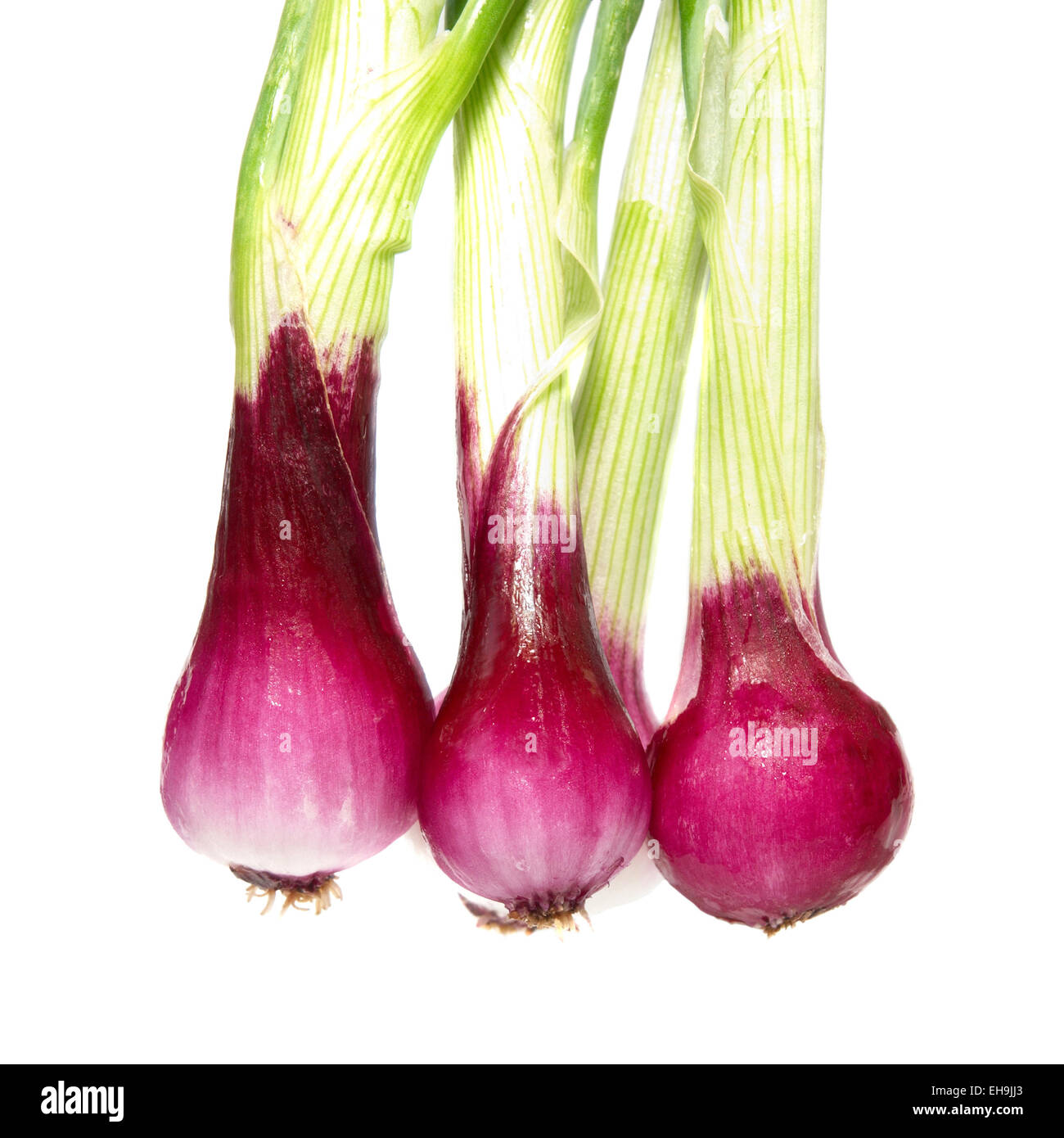Bunch of young onions isolated on white Stock Photo - Alamy