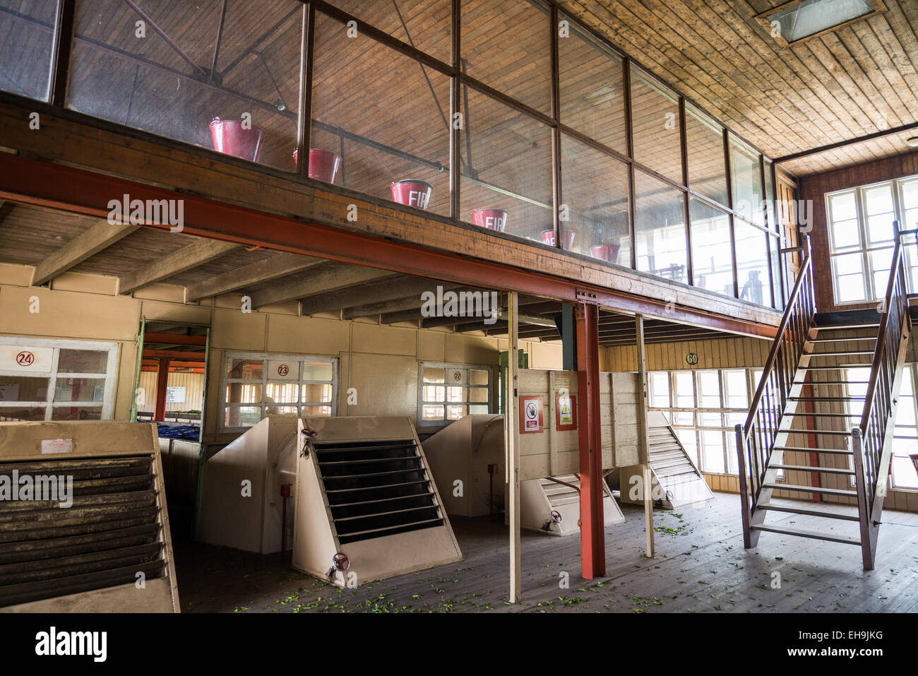 Nuwara Eliya Pedro Tea Estate tea factory & plantation in the hill ...