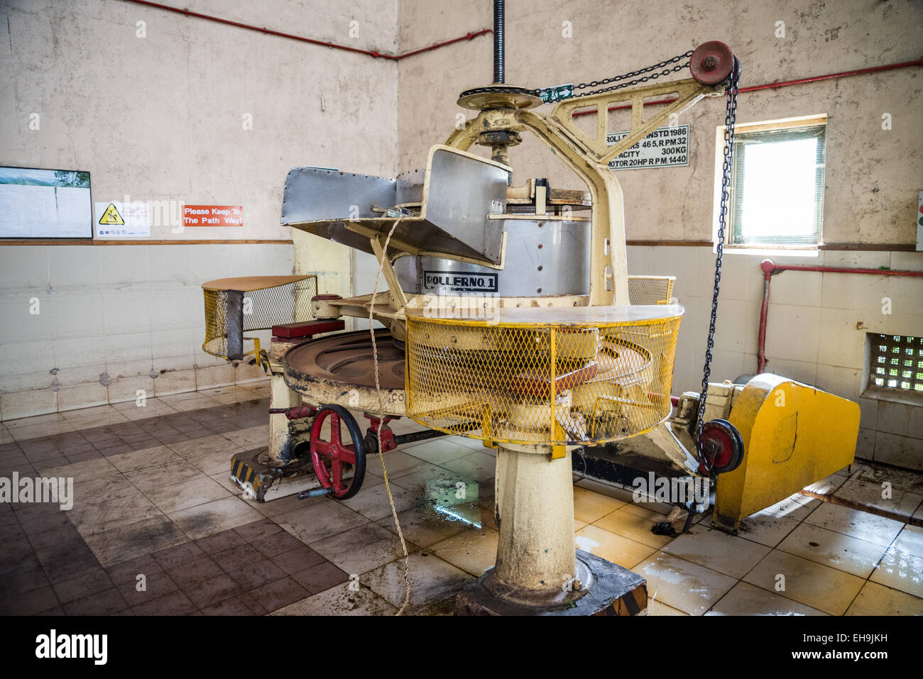 Nuwara Eliya Pedro Tea Estate tea factory & plantation in the hill ...