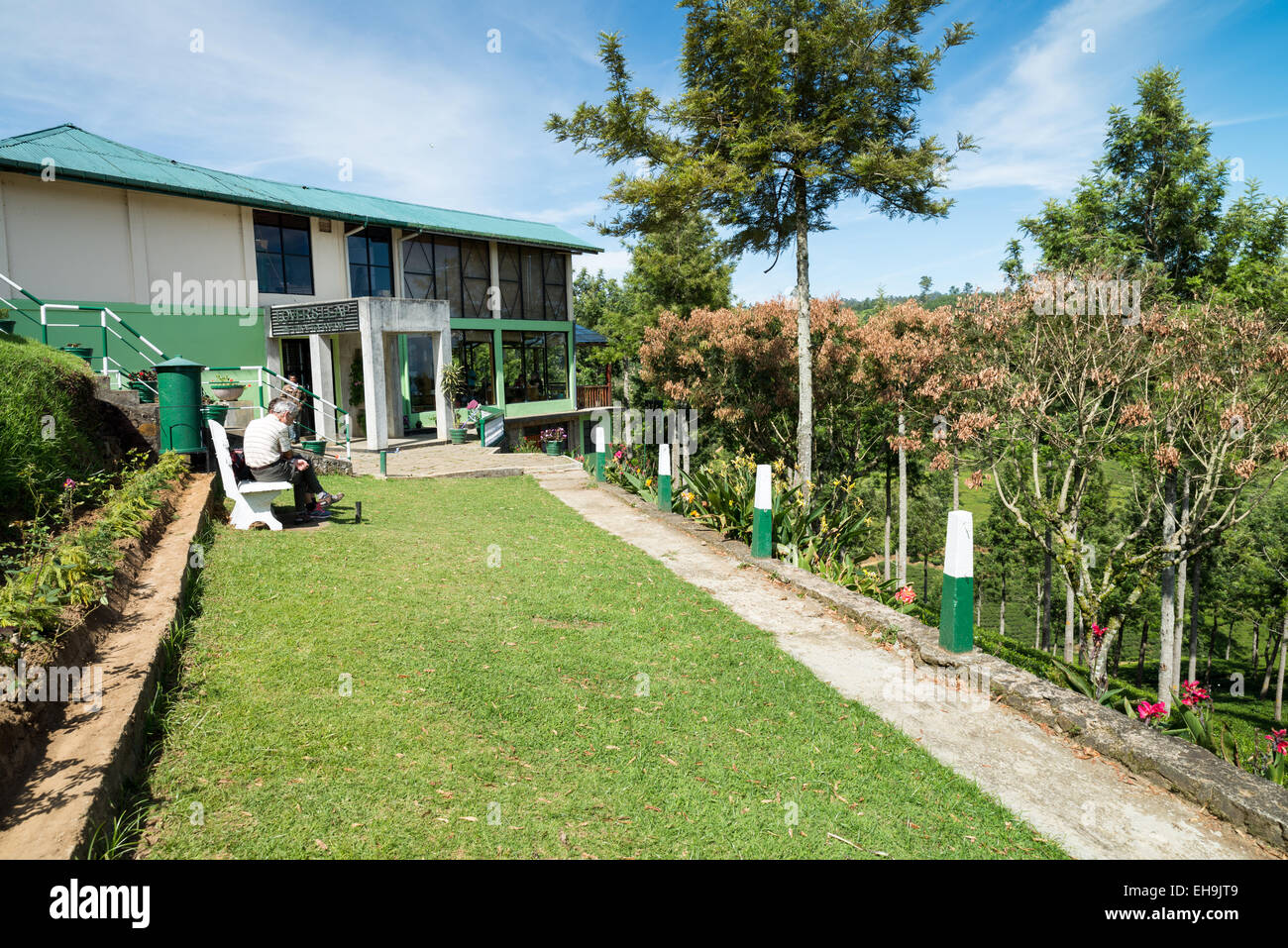 Nuwara Eliya Pedro Tea Estate tea factory & plantation in the hill ...