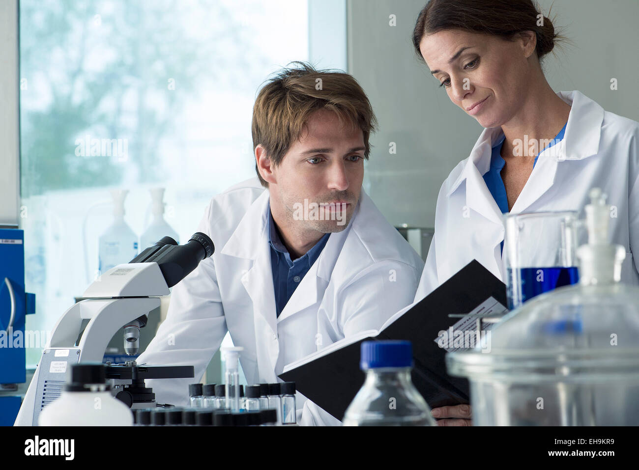 Scientists working together in laboratory Stock Photo - Alamy