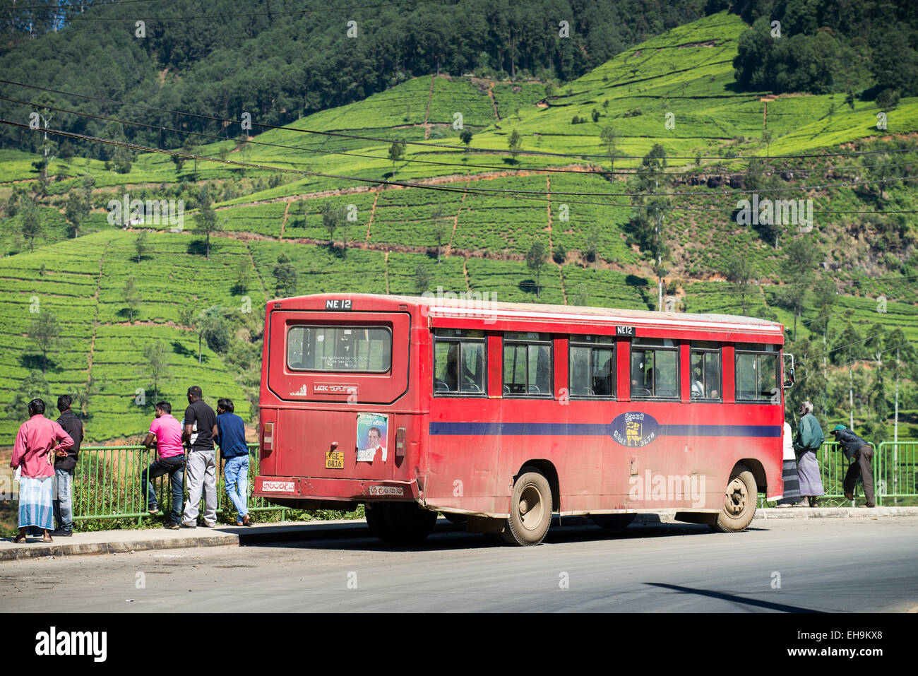 Public Red bus on the Colombo road, public transport in Sri Lanka, Asia ...