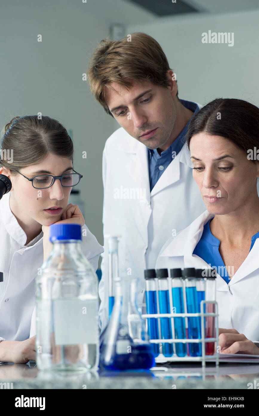 Scientists conducting experiment in laboratory Stock Photo - Alamy