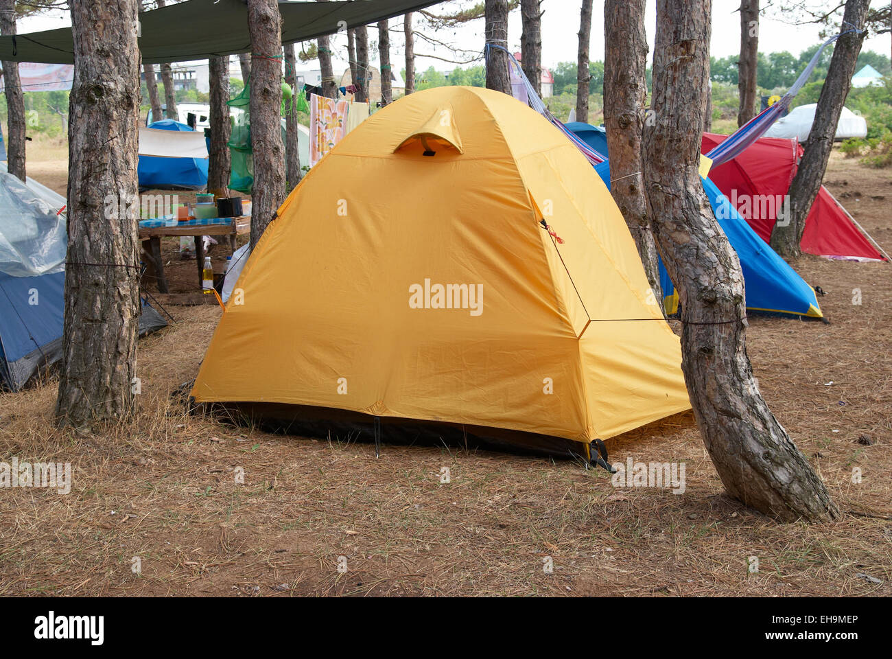 Campsite in the forest with many tents Stock Photo - Alamy