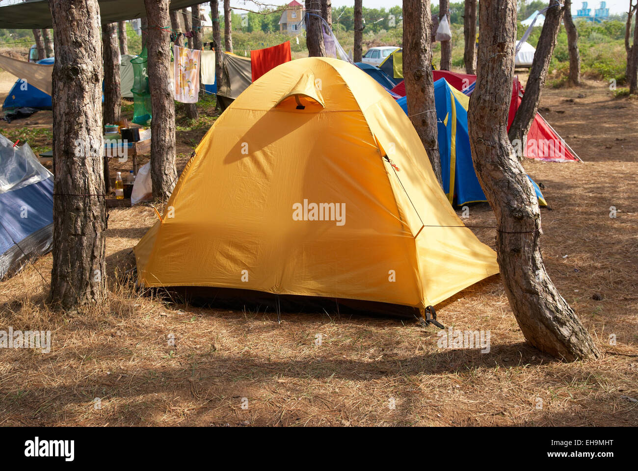 Campsite in the forest with many tents Stock Photo - Alamy