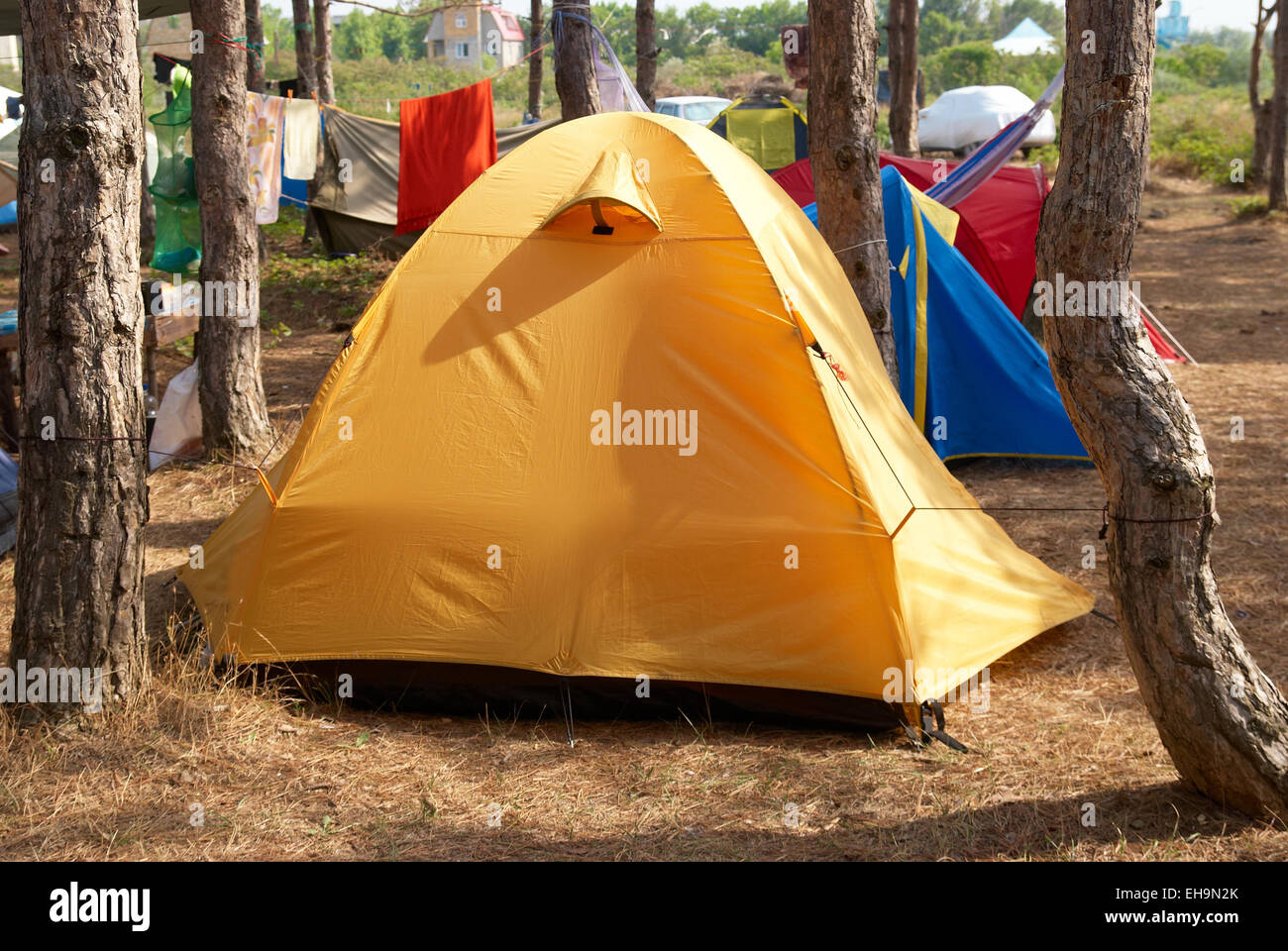 Campsite in the forest with many tents Stock Photo - Alamy