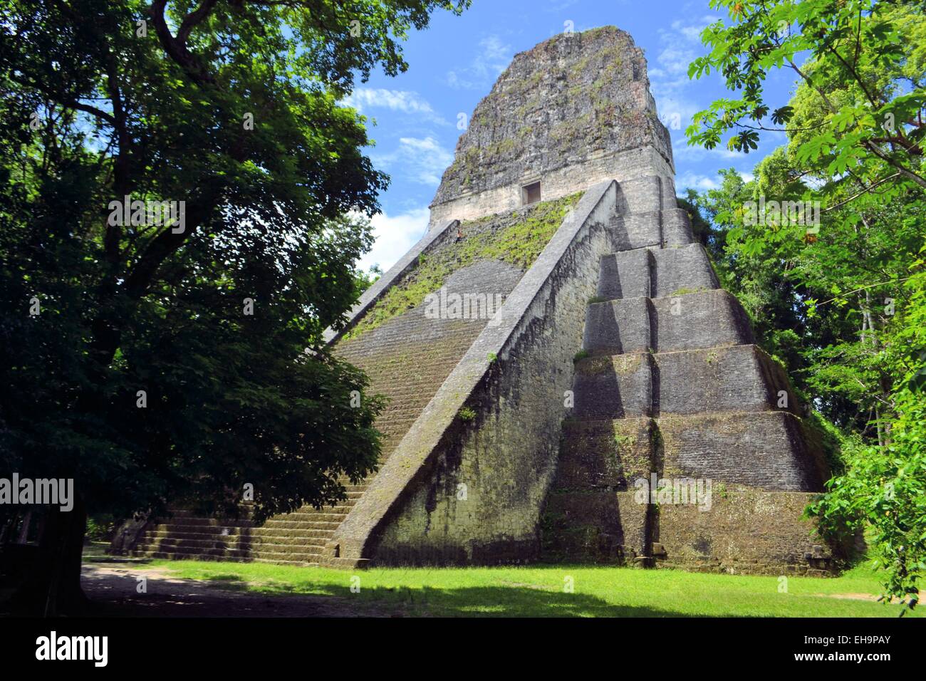 Mayan temple Nr five in Tikal, Guatemala Stock Photo - Alamy