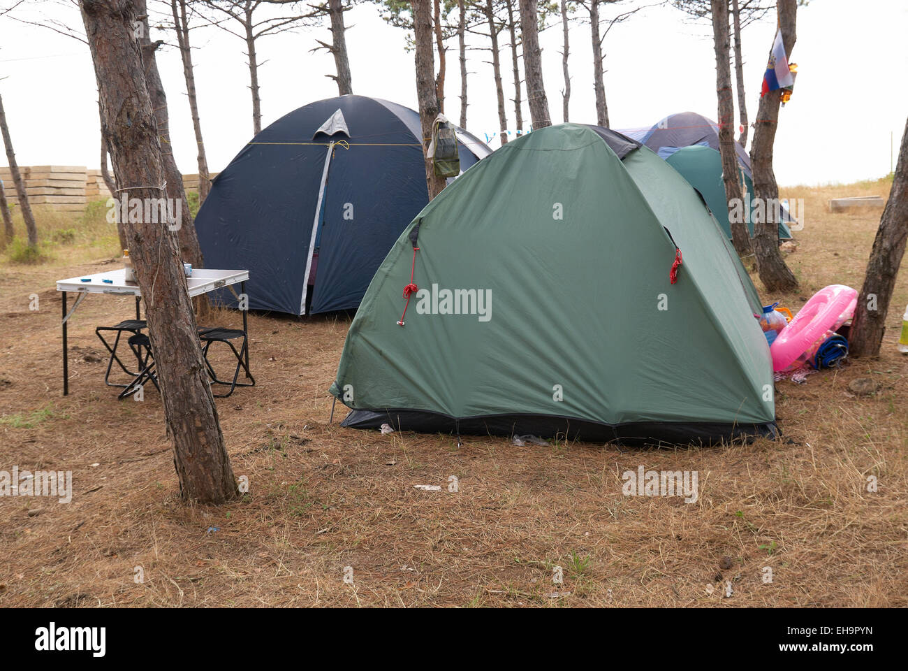 Campsite in the forest with many tents Stock Photo - Alamy