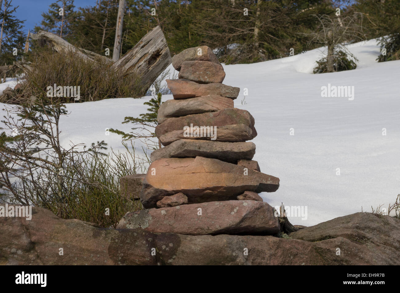 Close up of standing stones with a background of snow and pine trees ...