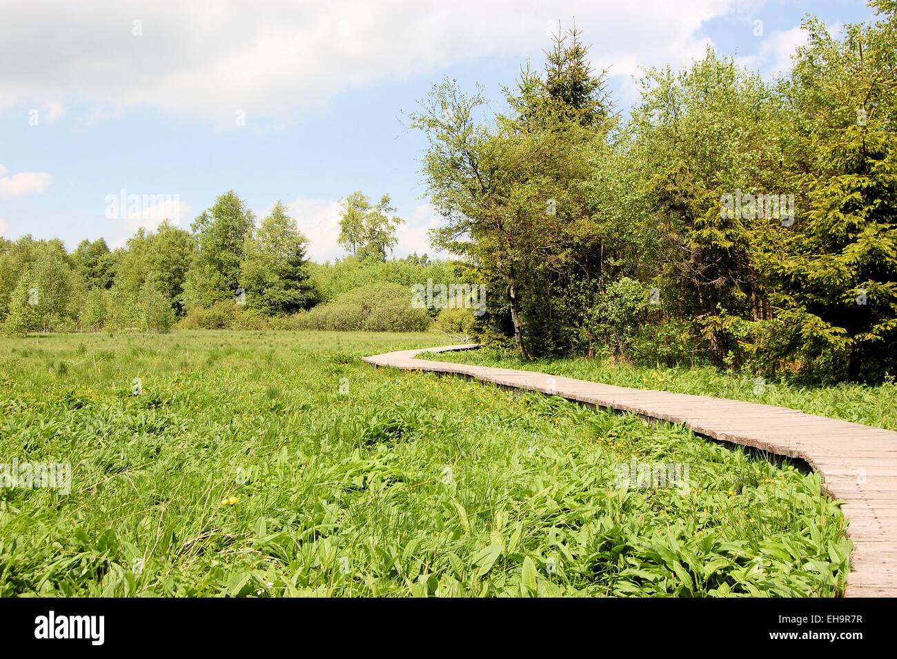 Boardwalk across swampland, Rhoen mountain range, Germany Stock Photo ...