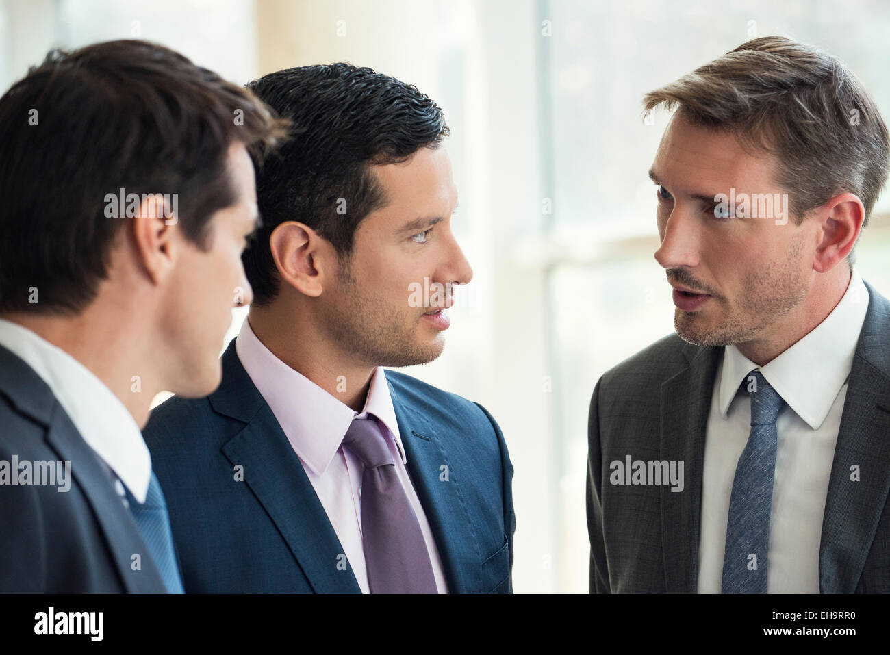 Businessmen talking together Stock Photo - Alamy