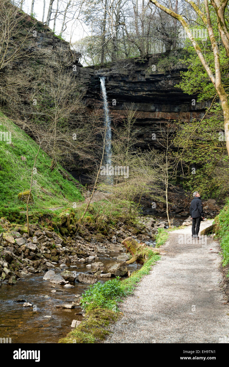 View on Hardraw Force, England's highest single drop waterfall , upper ...