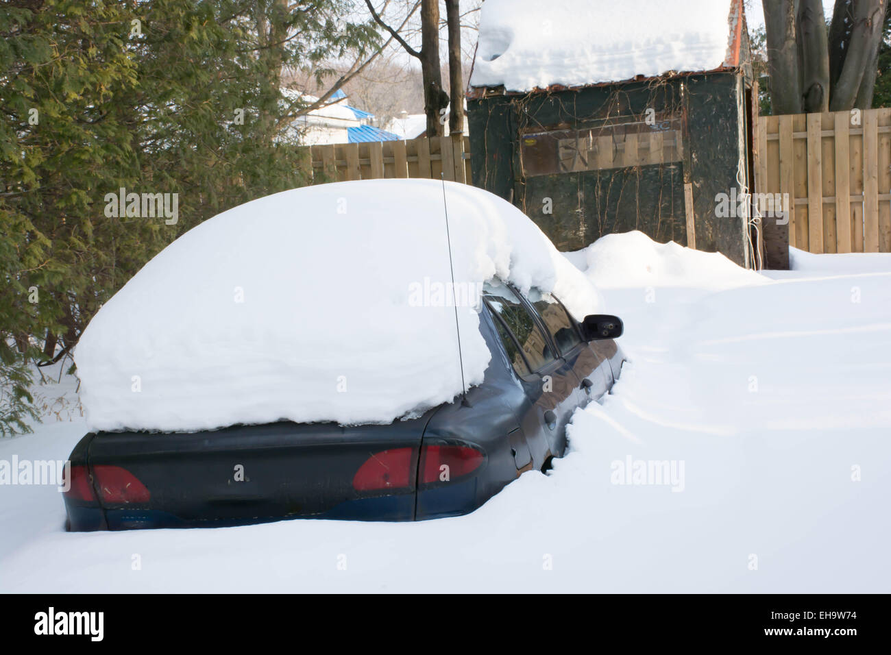 Buries hi-res stock photography and images - Alamy