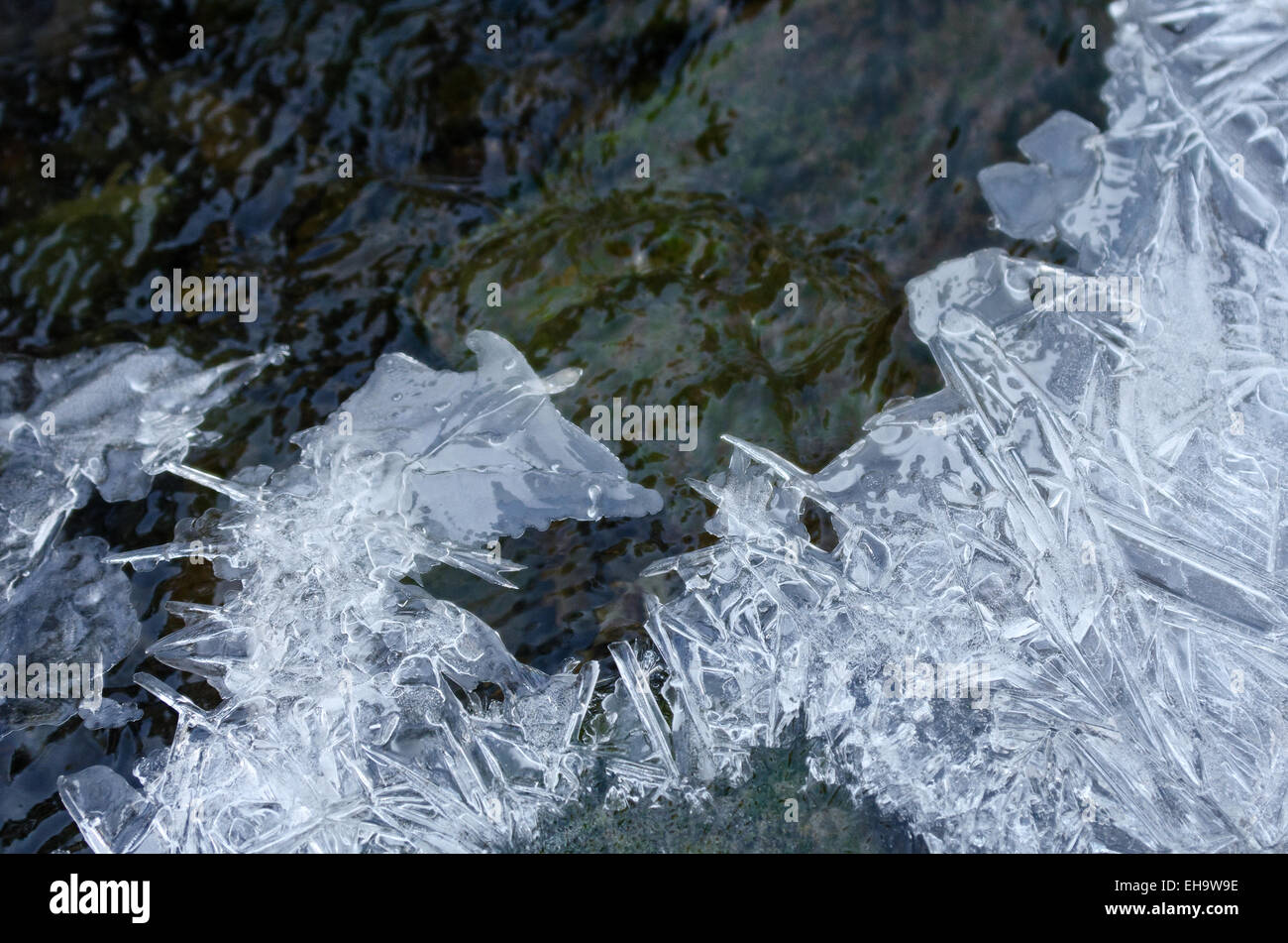 The crystalline structure of ice is visible as it forms thin plates ...