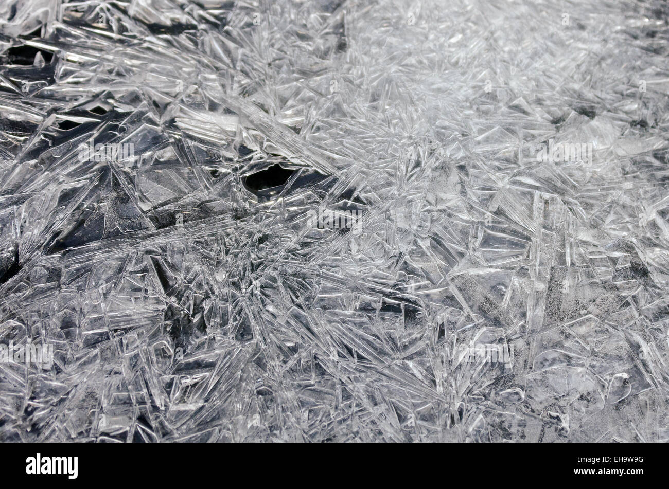 The crystalline structure of ice is visible as it forms over a stream ...