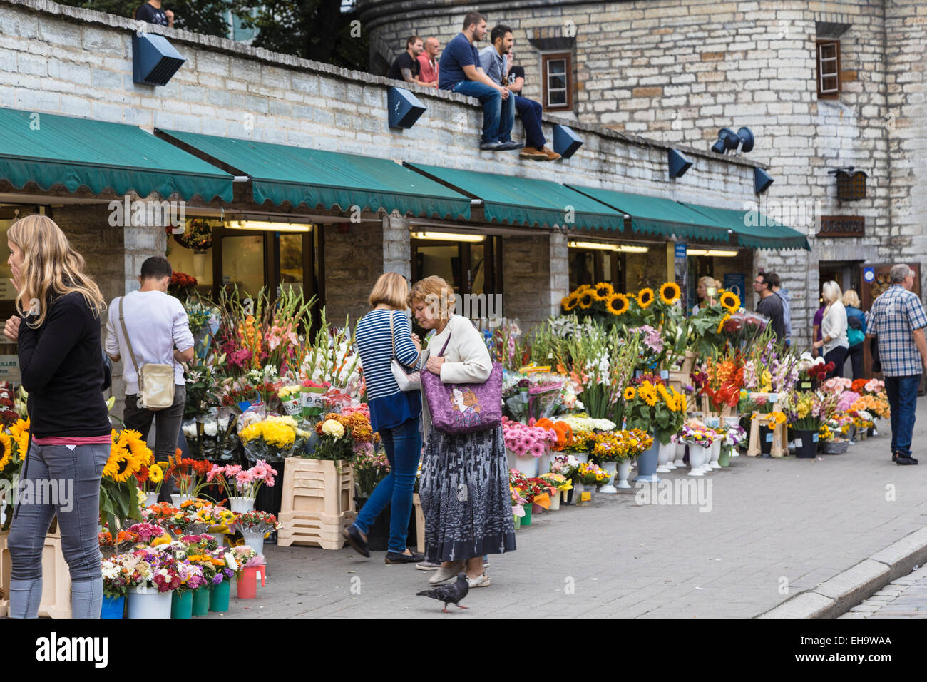 Flower market stalls in Valli street in city centre of Tallinn, Estonia ...