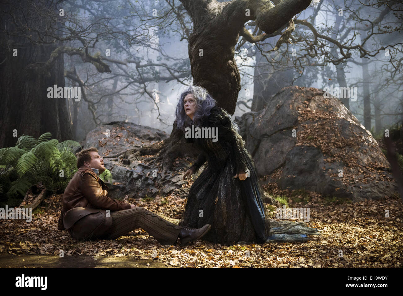 Into the woods musical hi-res stock photography and images - Alamy