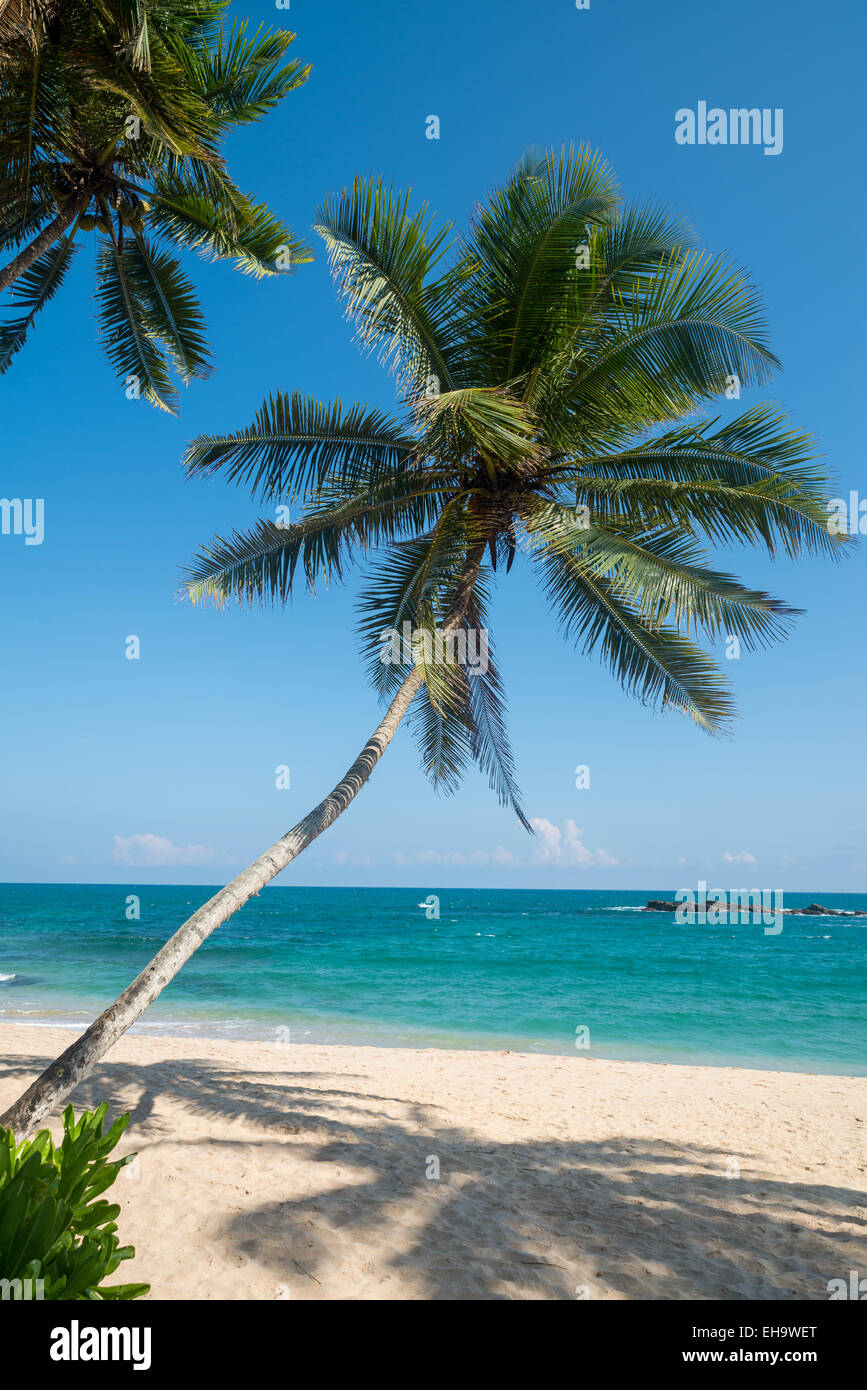 Goyambokka beach, Tangalle, Sri Lanka, Asia Stock Photo - Alamy
