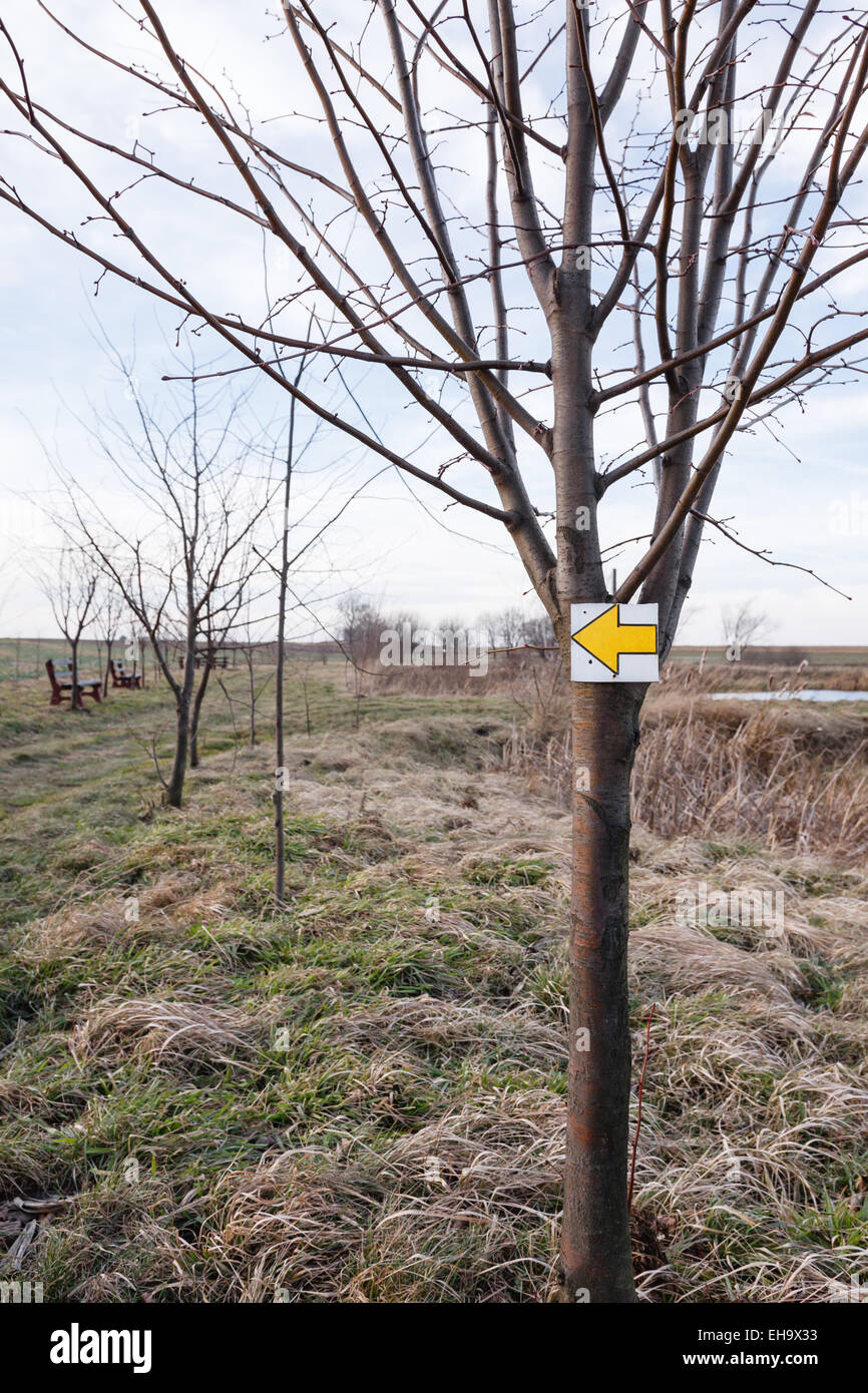 Arrow sign walk trail direction destiny decision advice hi-res stock ...