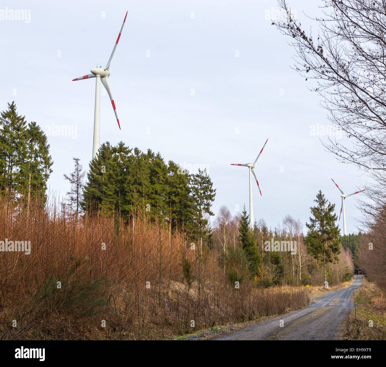 Wind turbine in a wind farm in the forest Stock Photo - Alamy