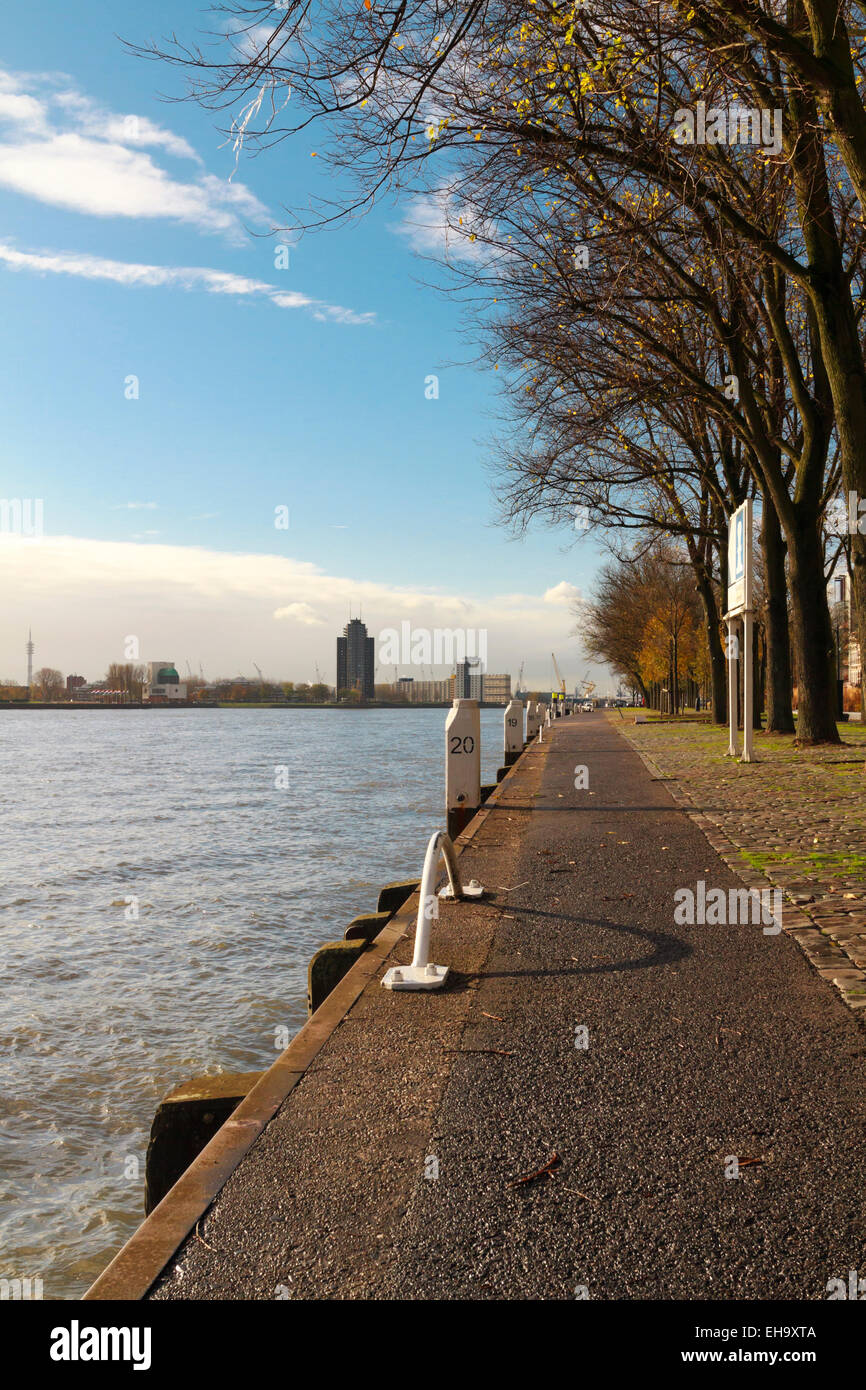 Holland path pathway concrete hi-res stock photography and images - Alamy