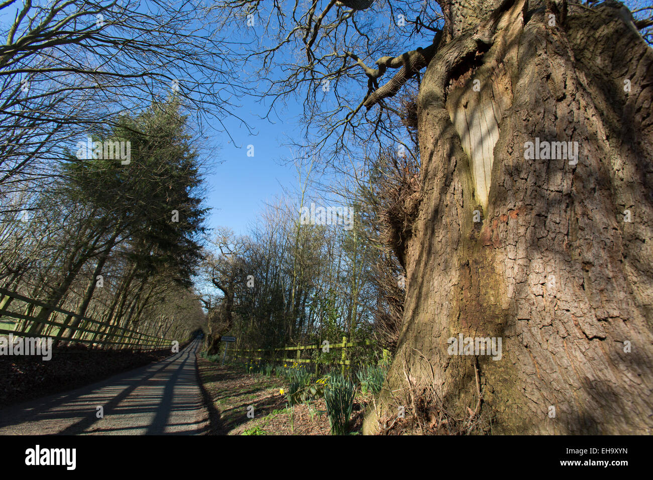 Road lane hi-res stock photography and images - Alamy